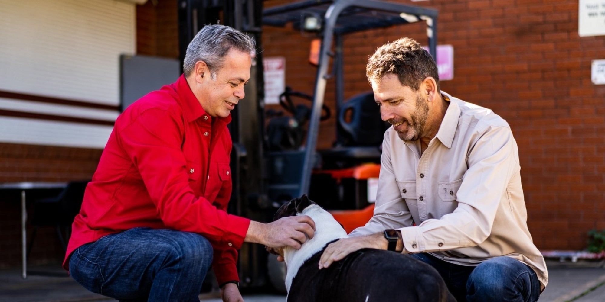 Koala Clothing Australia